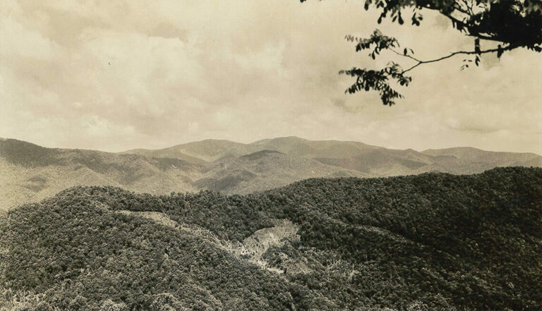 George Masa’s Peak Dedication | Our State