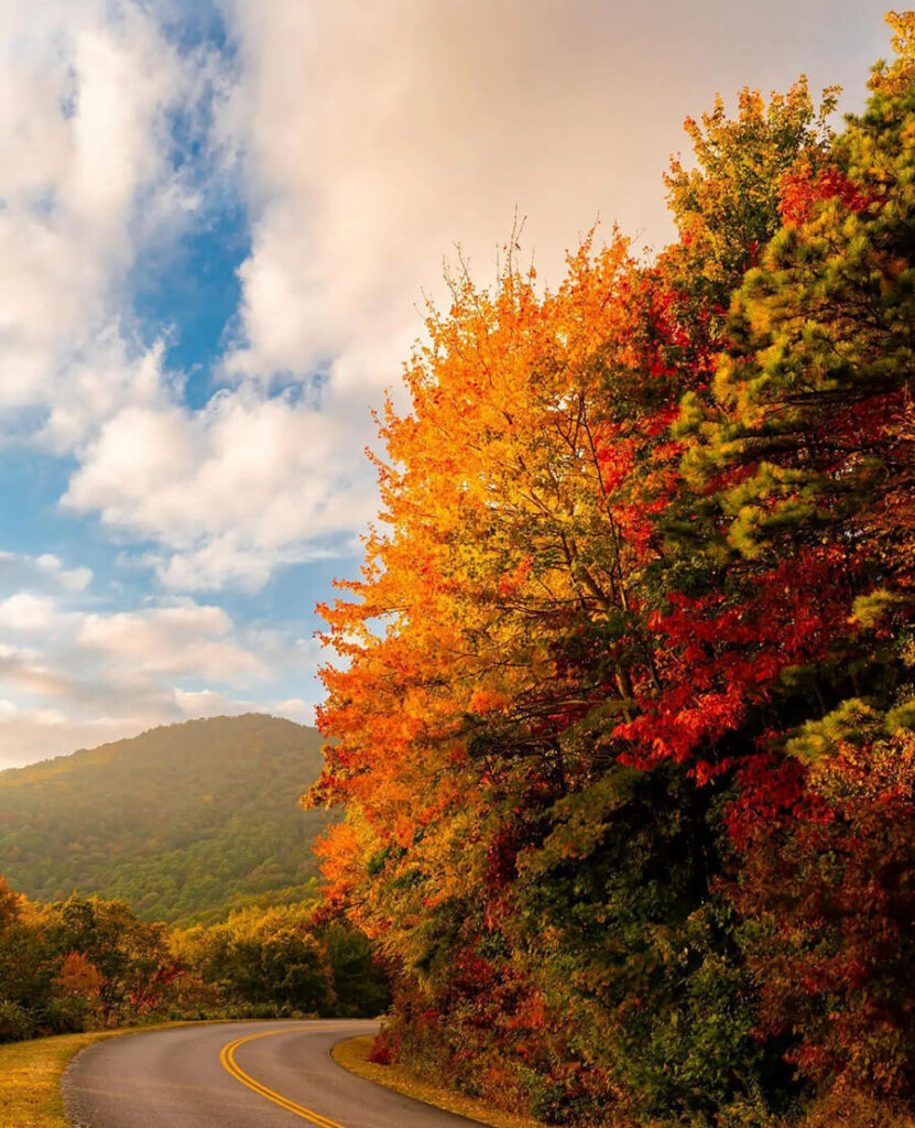 High in the Hills: 3 Places to Peep this Fall | Our State