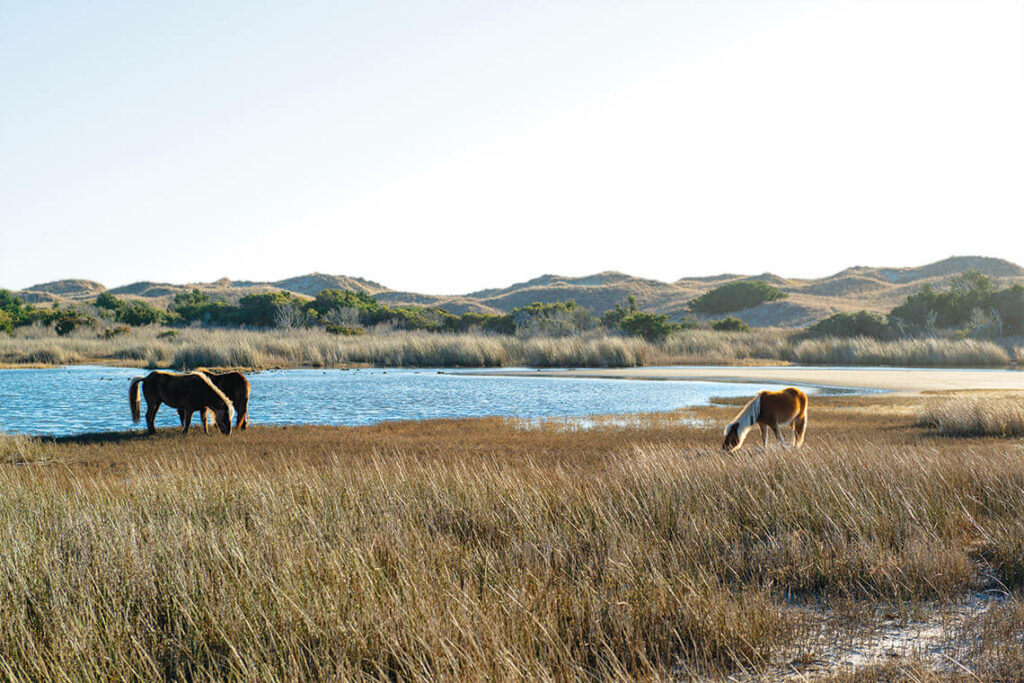 Shifting Sands of the Outer Banks | Our State