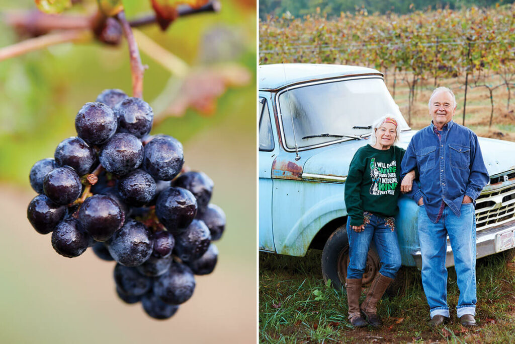 Raise a Glass: 7 North Carolina Wine Regions | Our State
