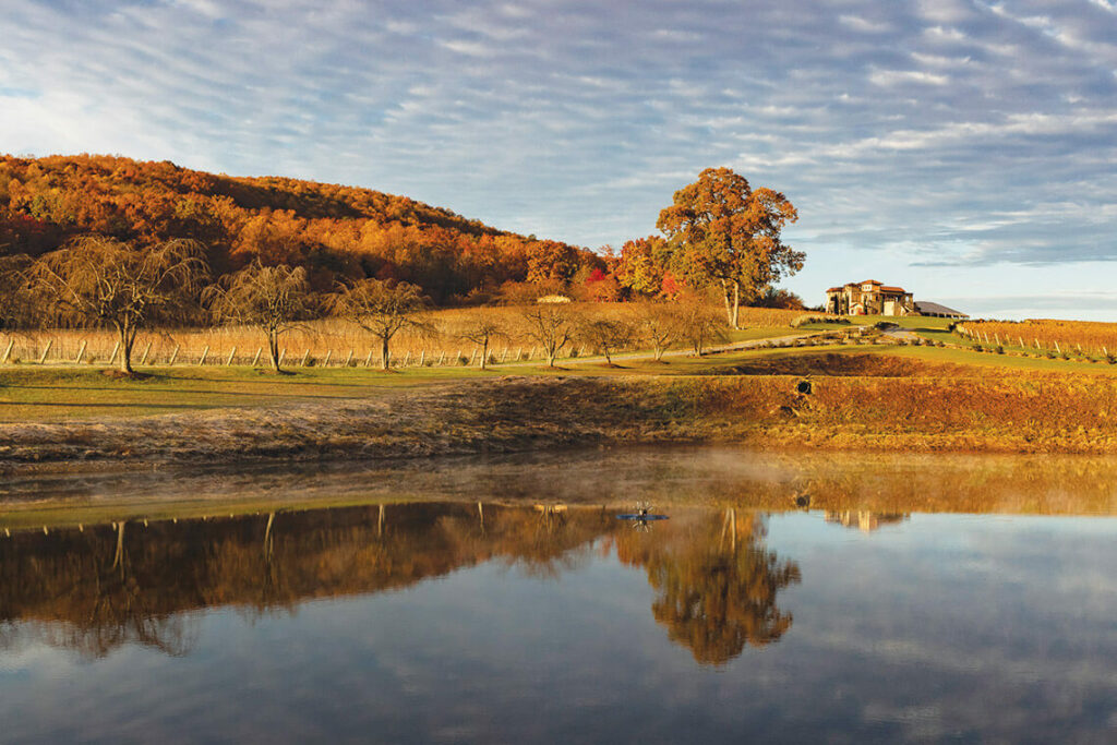 Raise a Glass: 7 North Carolina Wine Regions | Our State