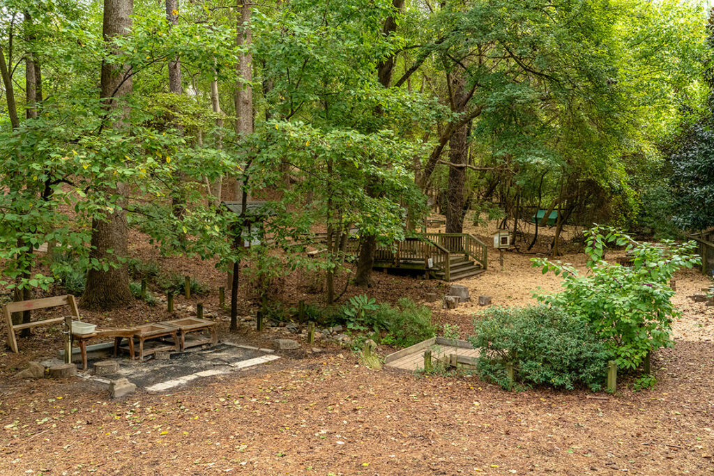 Explore the North Carolina Prairie Ridge Ecostation | Our State