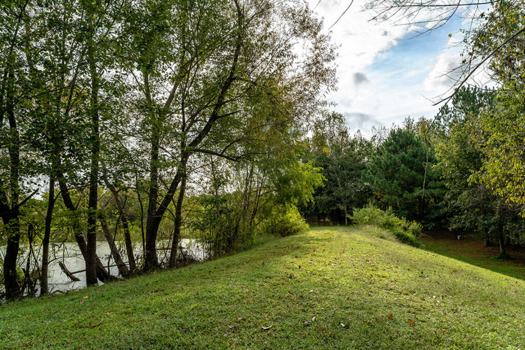 Explore the North Carolina Prairie Ridge Ecostation | Our State