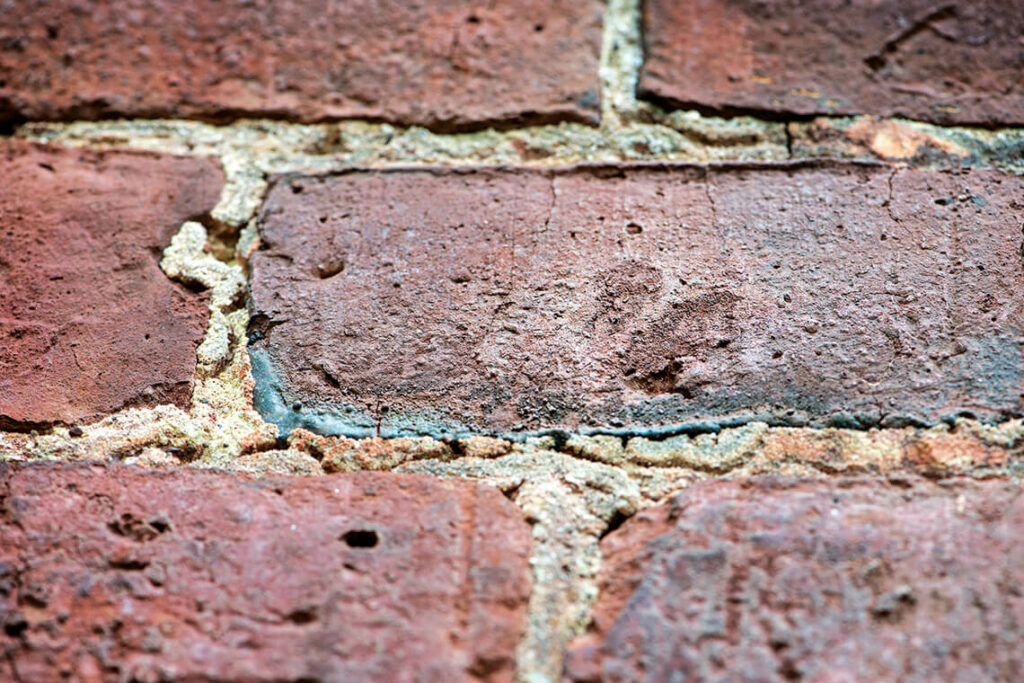 Riverside Revival at Ayr Mount in Hillsborough, NC | Our State