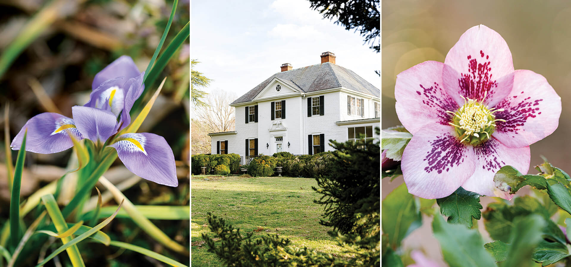 Winter at Montrose Gardens | Our State