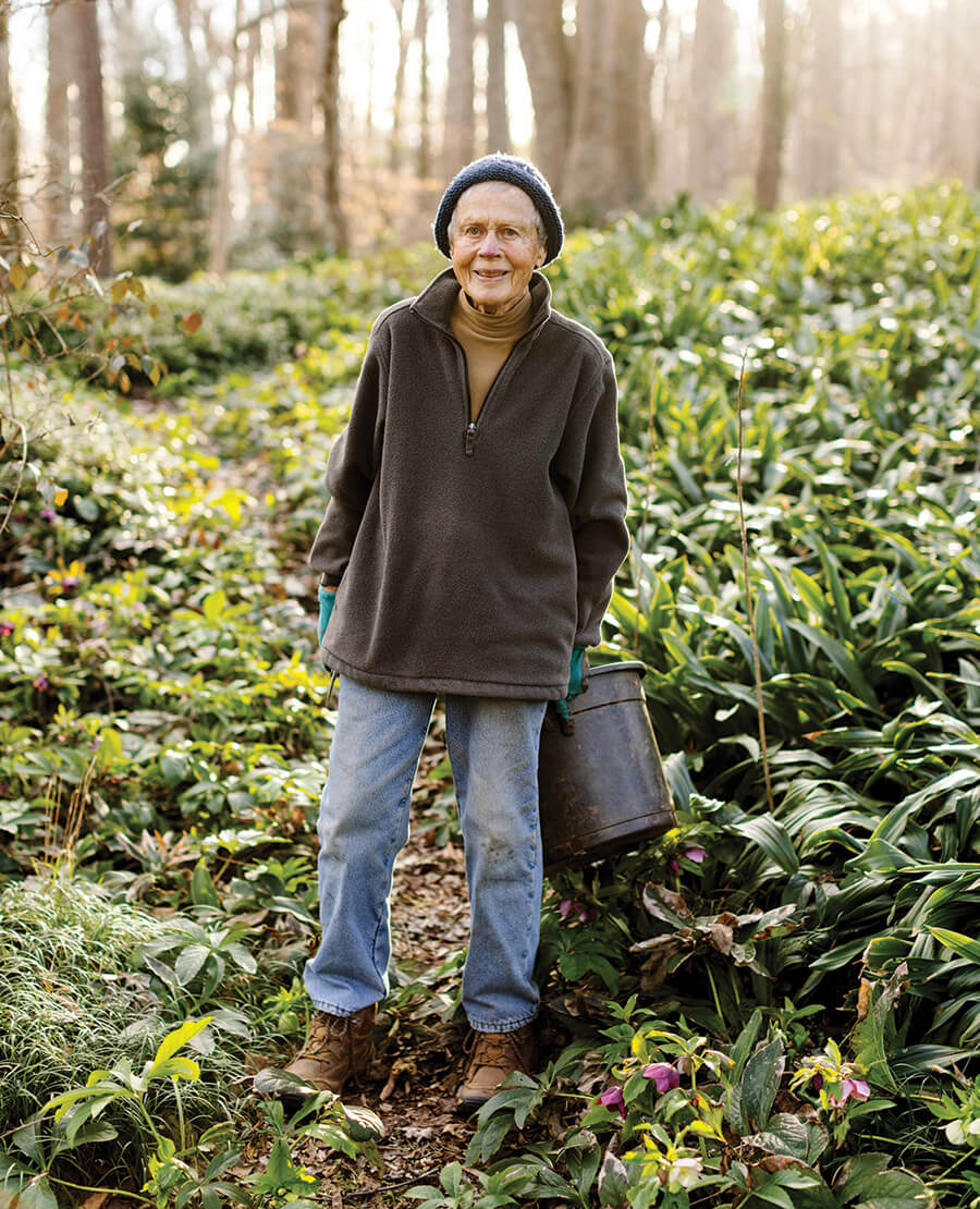 Winter at Montrose Gardens | Our State