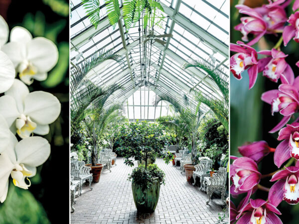 Biltmore Conservatory Archives | Our State