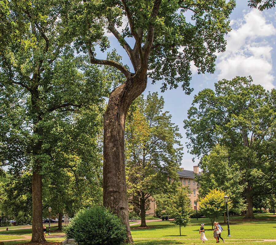 Living in North Carolina | Our State