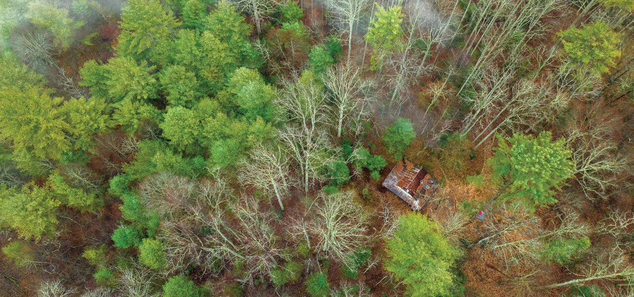 Entering Western North Carolina’s Lost Cove | Our State