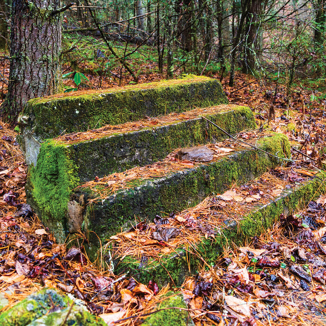 Entering Western North Carolina’s Lost Cove | Our State