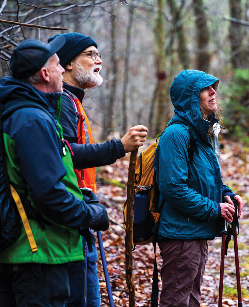 Entering Western North Carolina’s Lost Cove | Our State