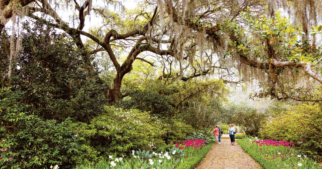 500 Years of History Awaits in Airlie Gardens | Our State