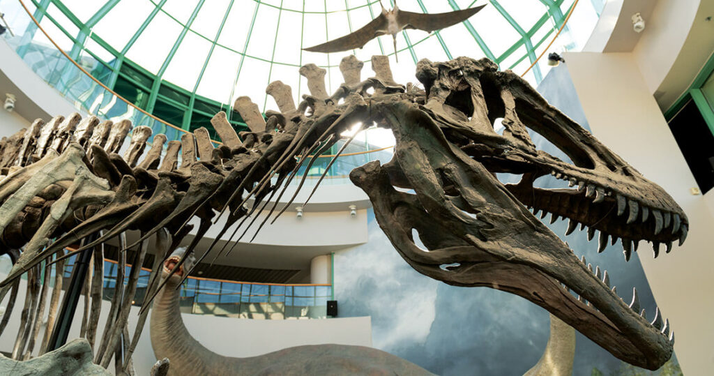 5 Field Trip Destinations in Raleigh | Our State