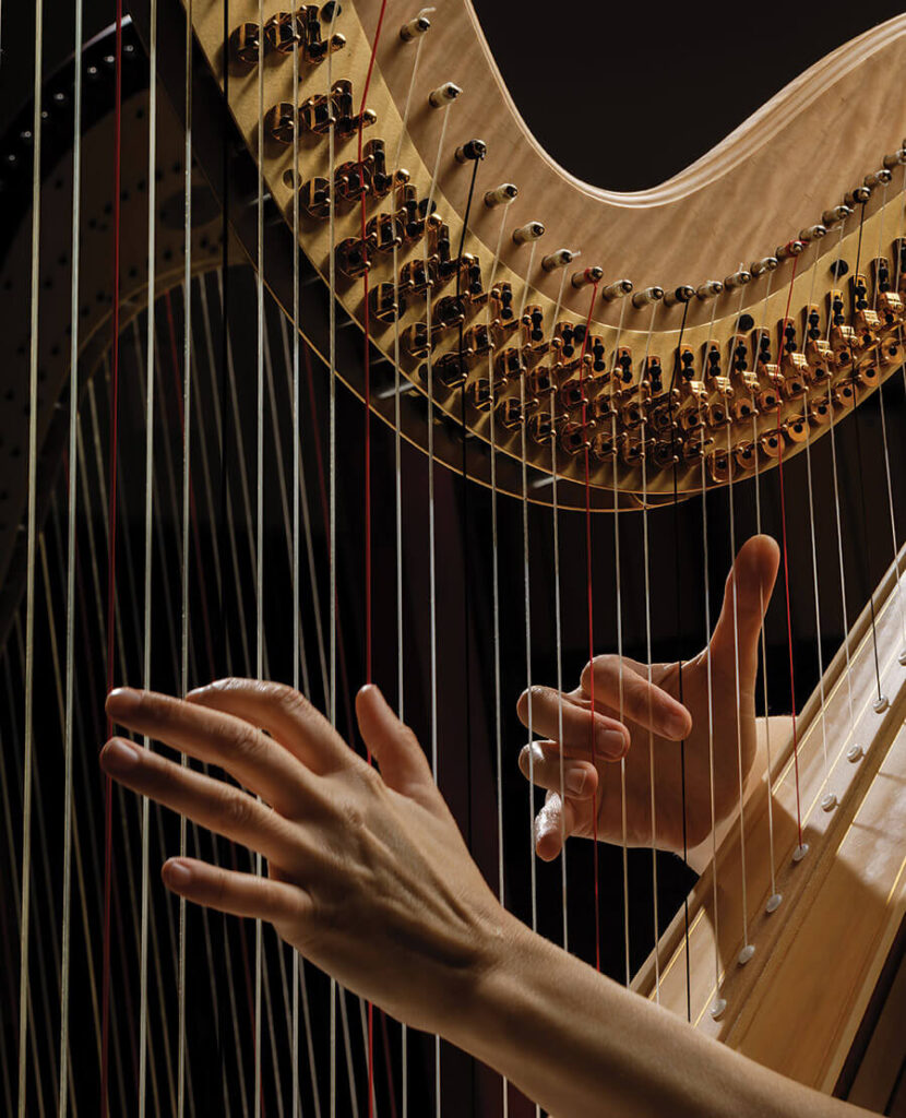 Sounds of Angels in the North Carolina Harp Ensemble | Our State