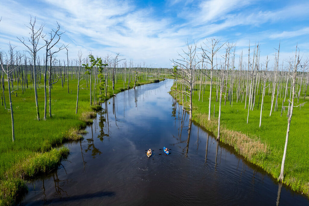 Your Guide to Brunswick County’s River Towns | Our State