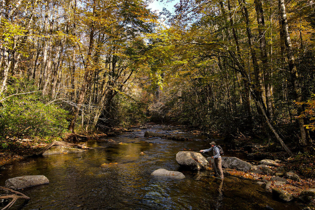 Your Guide to Graham County, NC | Our State