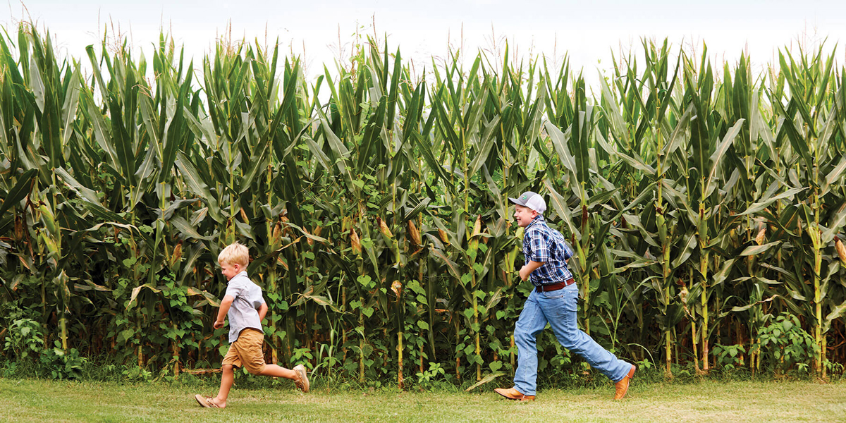 North Carolina’s Bicentennial Farms | Our State