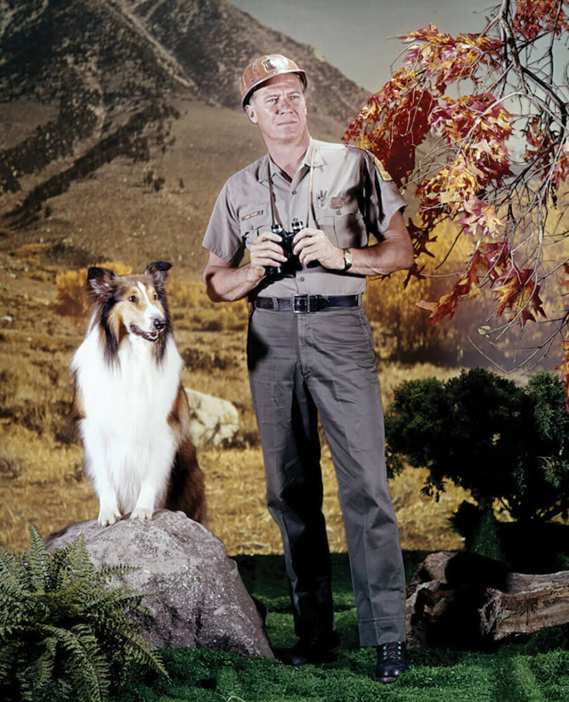 Lassie’s Showstopping Slide | Our State