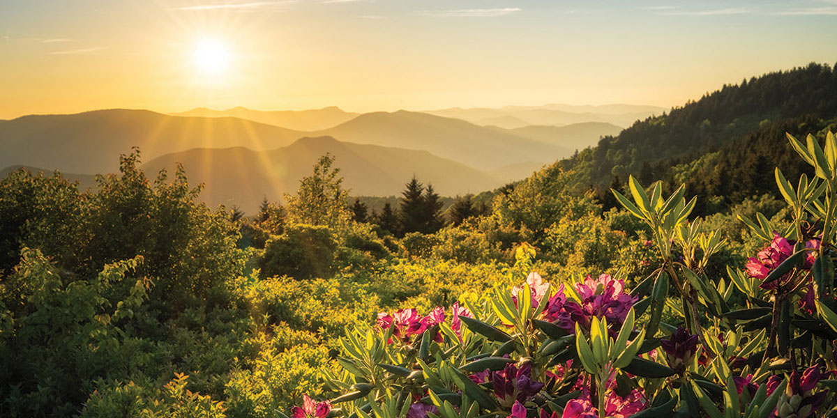 Photo Essay: The North Carolina State Toast | Our State