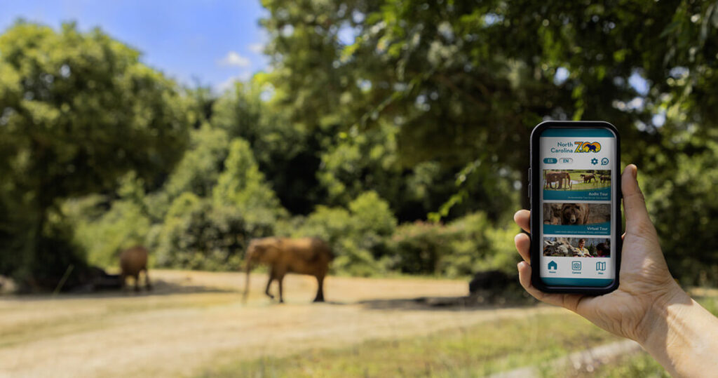 6 Things You Should Know About the North Carolina Zoo | Our State