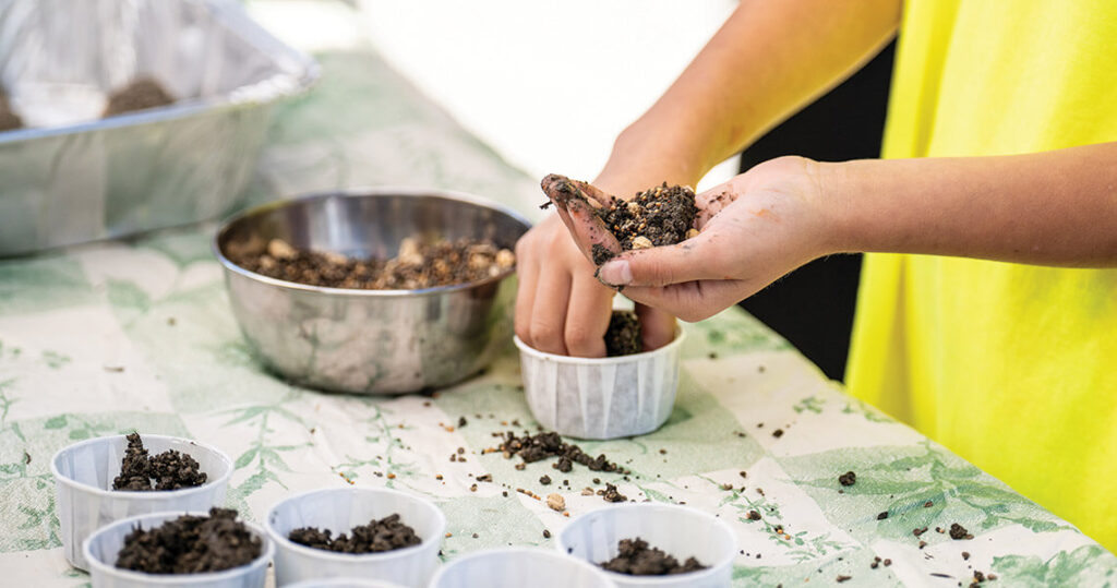 How to Make a Seed Bomb For Your Garden | Our State