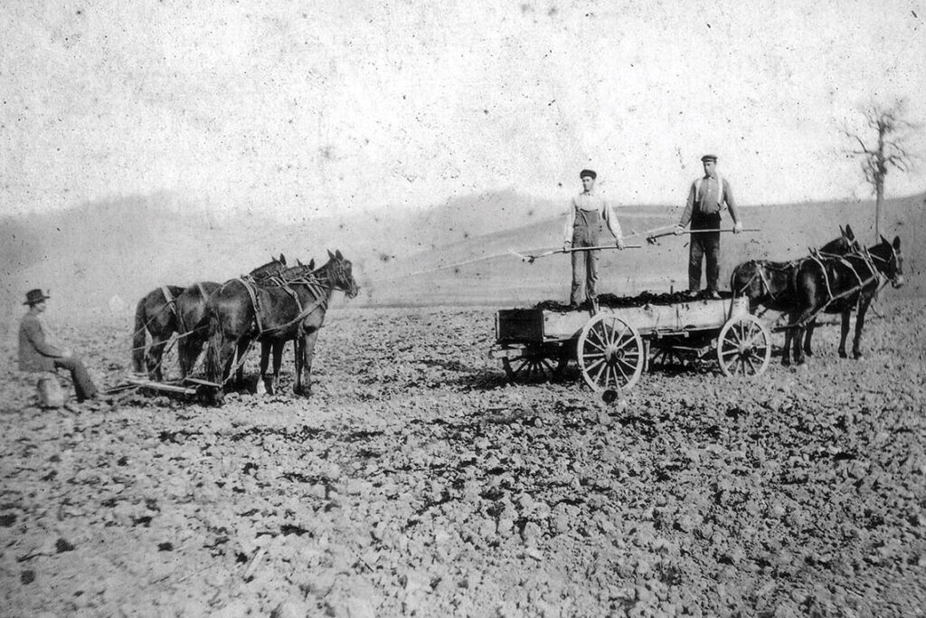 Raising the Steaks With Shipley Beef | Our State