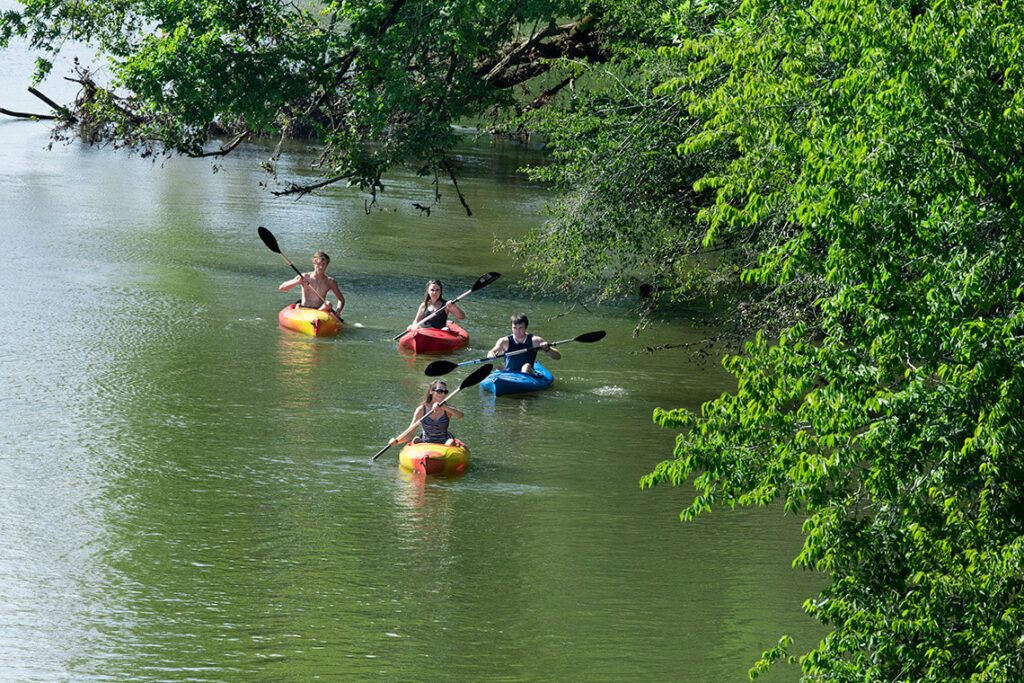 Your Guide to Smithfield, NC | Our State