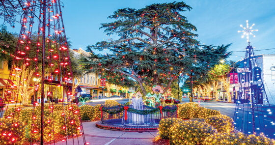 Our State Hallmark Towns: North Carolina’s Hallmark Christmas Town ...