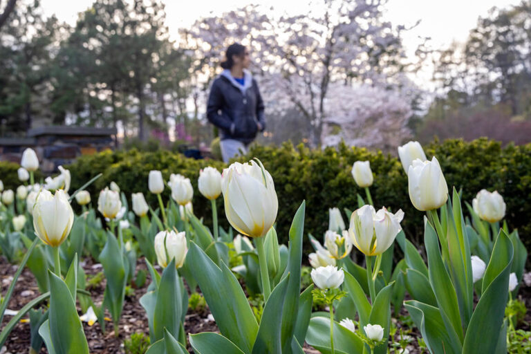 A February Guide to Duke University’s Campus | Our State