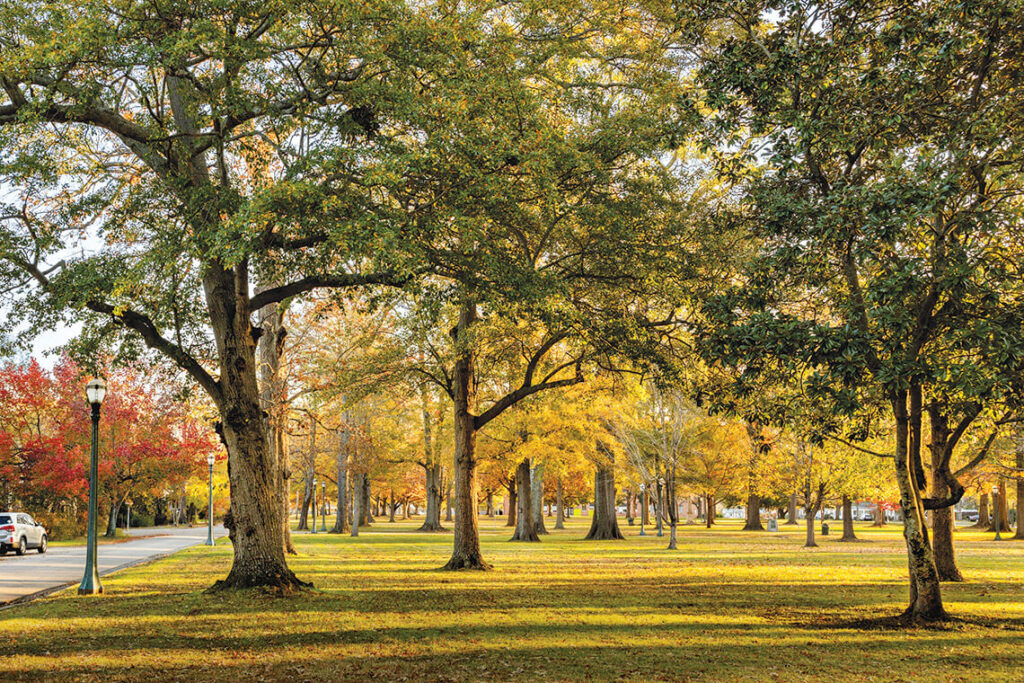 A Day Trip Guide to Downtown Tarboro | Our State