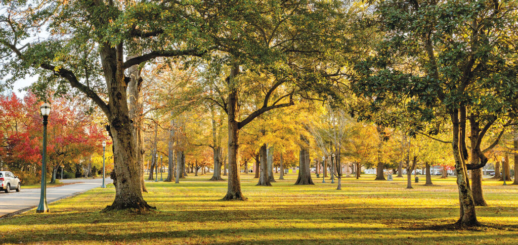 On Common Ground in Tarboro, North Carolina | Our State