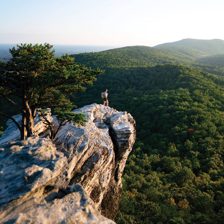 A Guide to Walnut Cove, NC | Our State