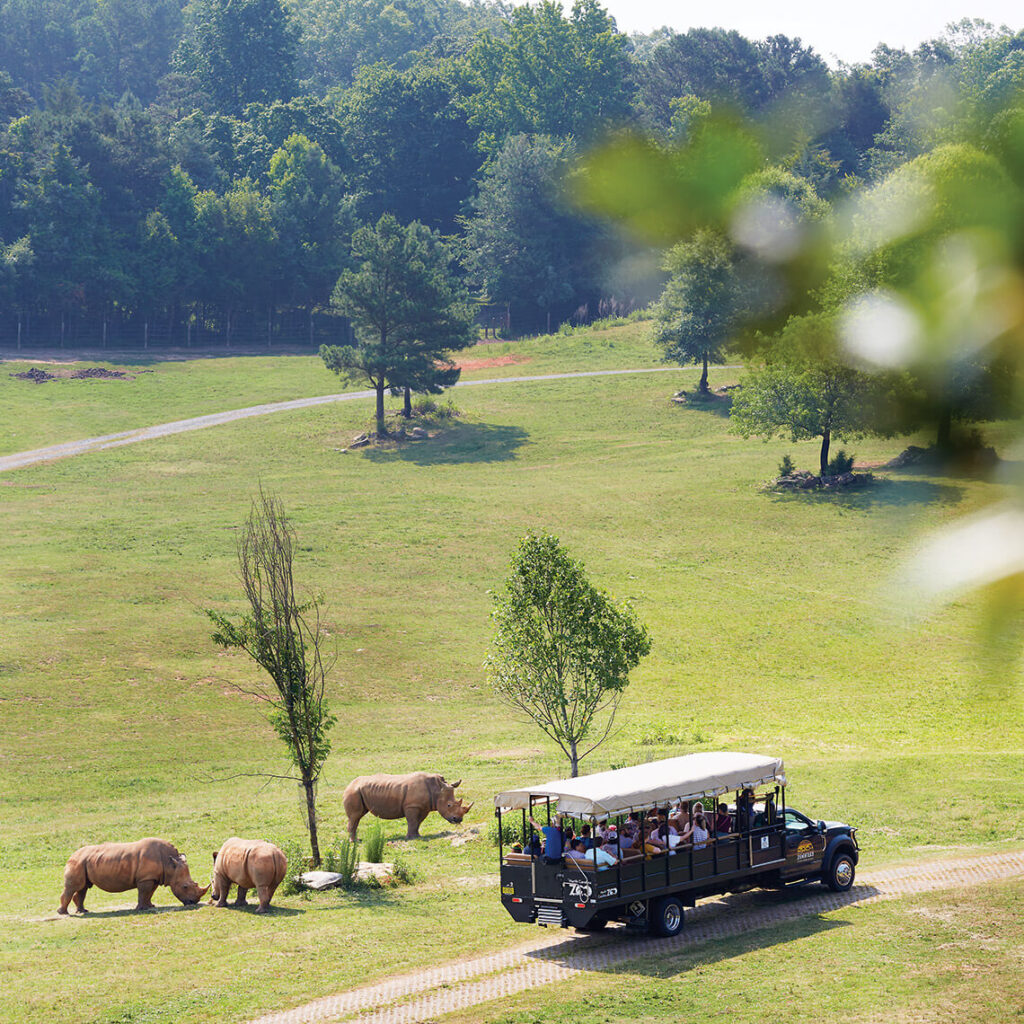 10 Kid-Friendly Ways to Explore the North Carolina Zoo | Our State