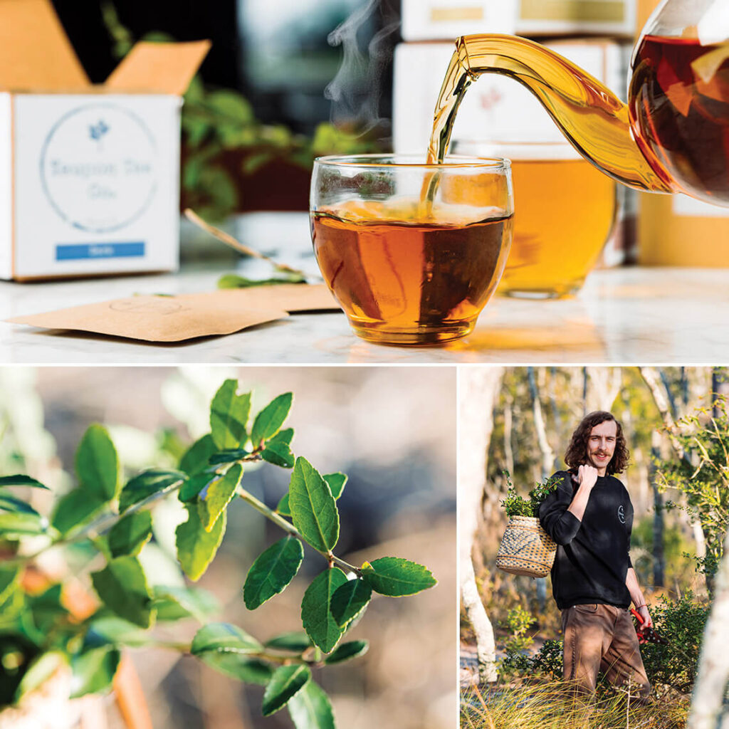 Tea Traditions in North Carolina | Our State