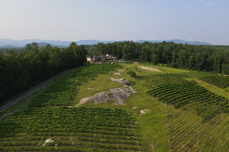 9 Yadkin Valley Wineries and Vineyards | Our State