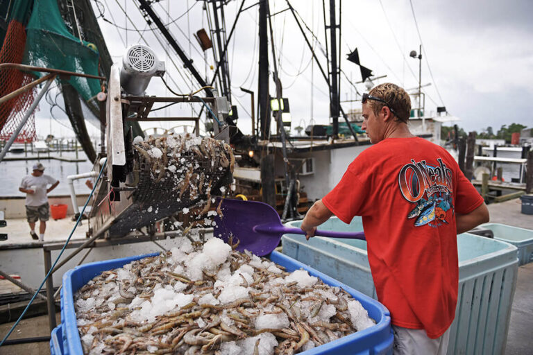 9 Fish Houses & Seafood Markets on the Outer Banks | Our State