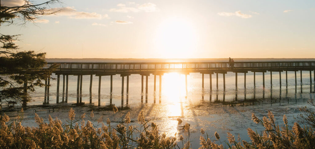 5 Picture-Perfect Boardwalks in North Carolina | Our State
