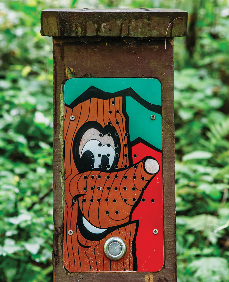 6 Educational Forests in North Carolina| Our State