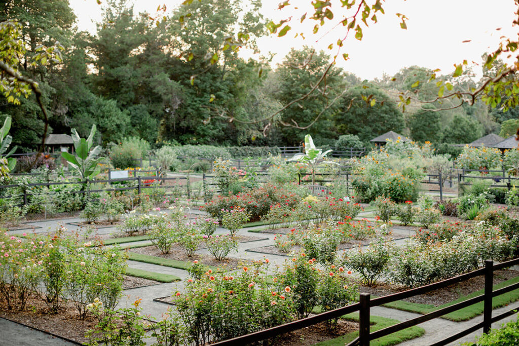 A Day Trip Guide to Reynolda | Our State