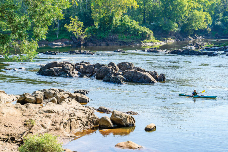 North Carolina, Naturally: The Fall Line | Our State