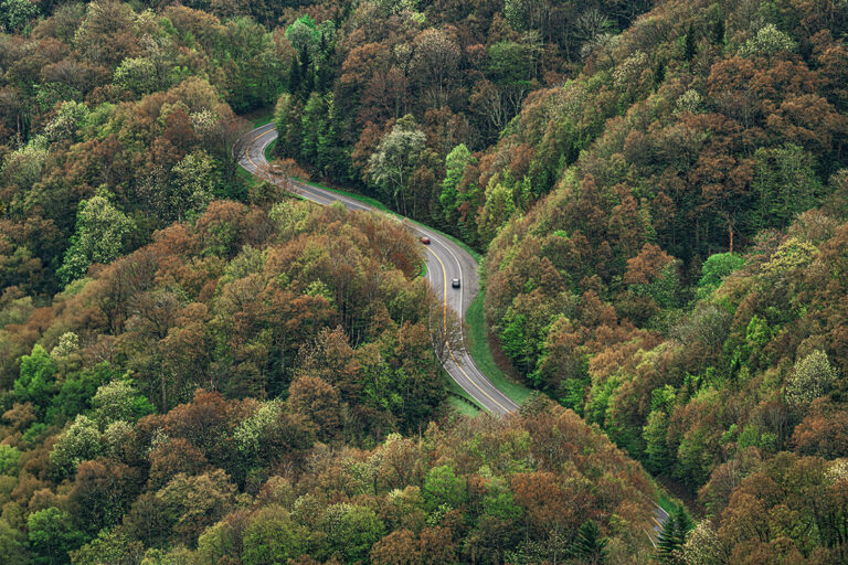 Your Guide to Swain County, North Carolina | Our State