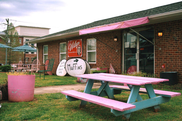 A Guide to Downtown Pittsboro and Beyond | Our State