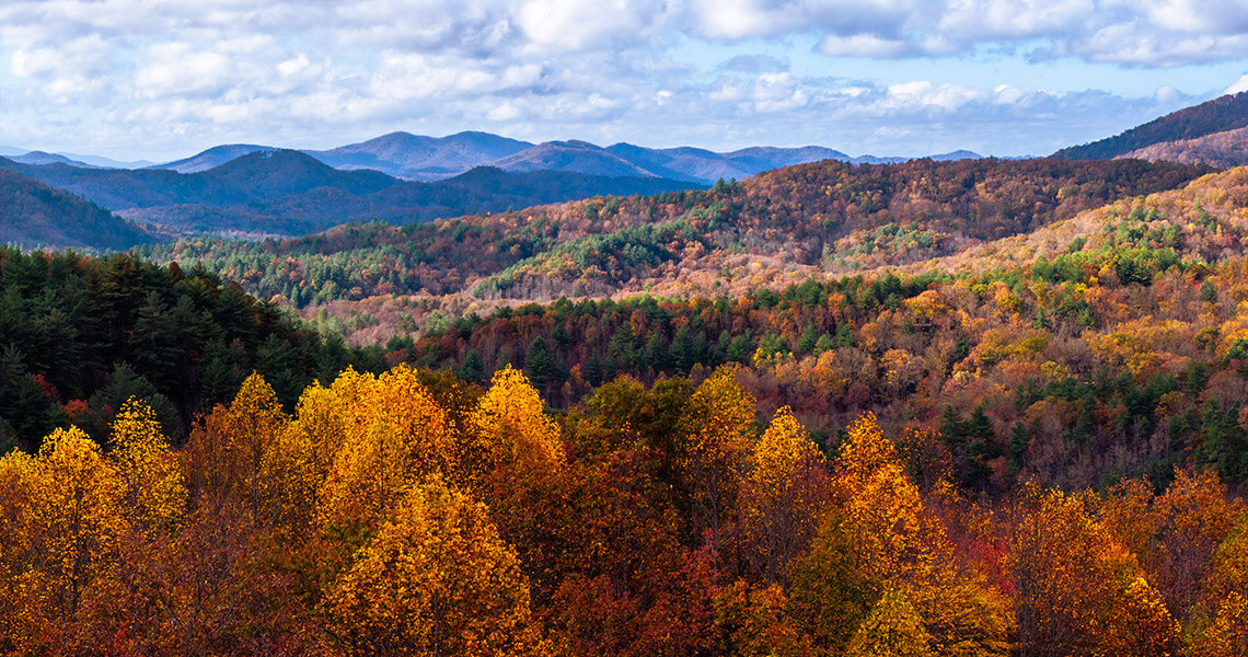 5 Ways to Dive Into Beauty in Cherokee County | Our State