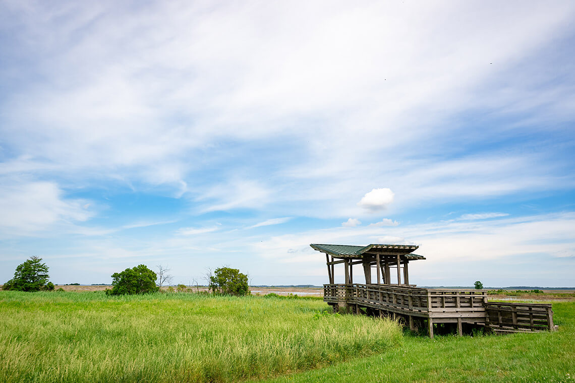 Hidden Gems on The Northern Outer Banks | Our State